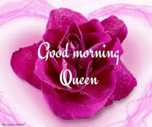 101+ Good Morning My Queen Images [ Best Collection ]