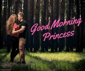 101+ Good Morning Princess Images & Messages[ Best Wishes ]
